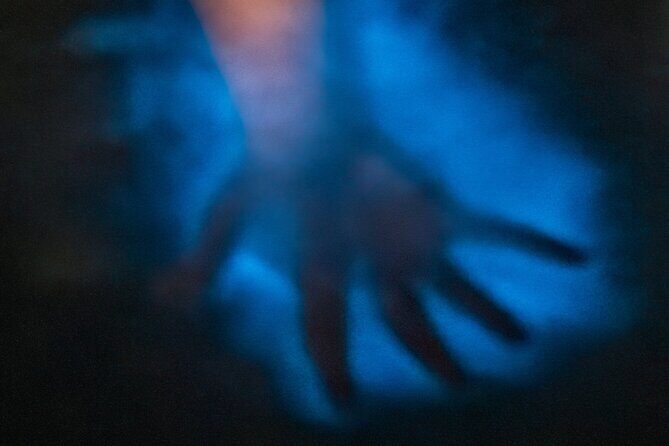 Bioluminescence Kayak Tour at Fort Flagler State Park - The Sum Up