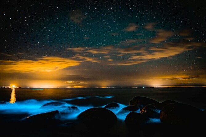 Bioluminescence Kayak Tour at Fort Flagler State Park - FAQ