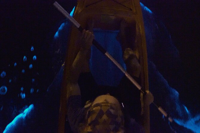 Bioluminescence Kayak Tour - The Sum Up