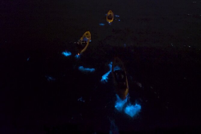 Bioluminescence Kayak Tour - FAQs