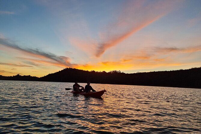Bioluminescence Kayak Tour - Est. 1994 - Setting the Scene: What to Expect