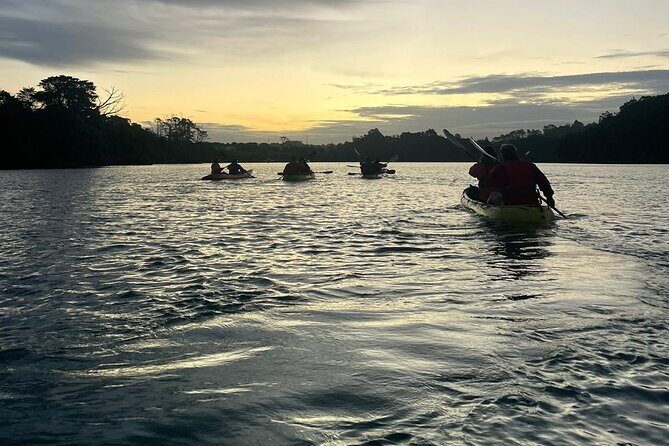 Bioluminescence Kayak Tour - Est. 1994 - The Sum Up: Is This Tour for You?
