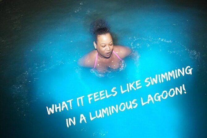 Bioluminescence Lagoon Tour from Montego Bay with Pick Up - The Sum Up
