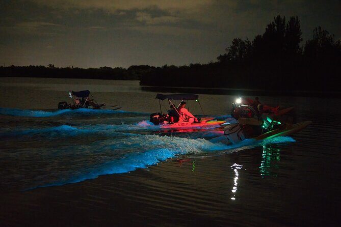 Bioluminescence Night Craigcat Tours - The Experience in Detail