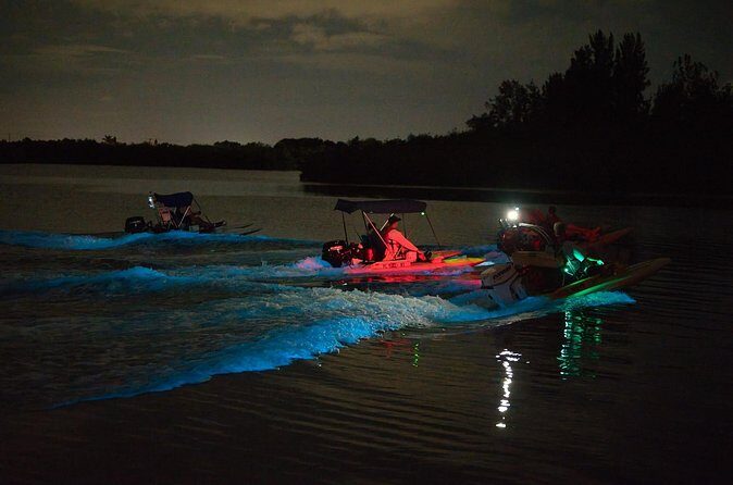 Bioluminescence Night Craigcat Tours - The Sum Up