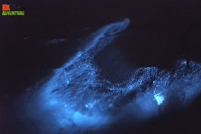 Bioluminescence Night Kayaking Tour of Merritt Island Wildlife Refuge - A Closer Look at the Itinerary