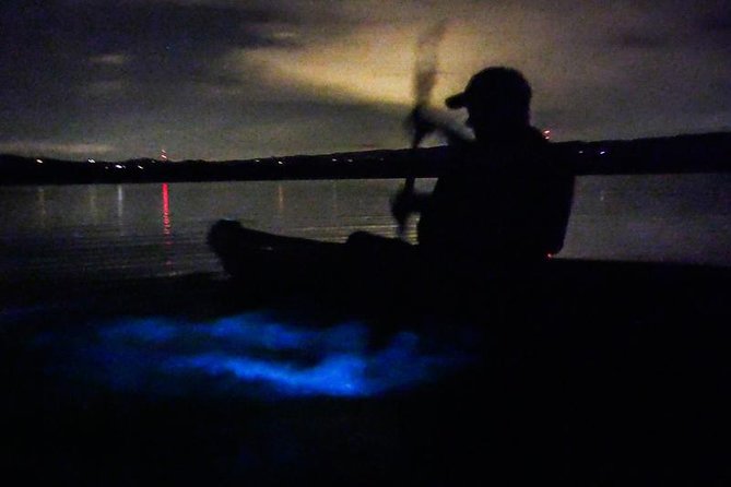 Bioluminescence Night Kayaking Tour of Merritt Island Wildlife Refuge - The Sum Up