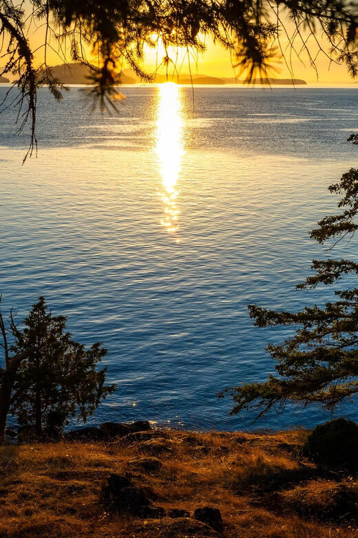Bioluminescence Night Paddle - Discover the Bioluminescence Night Paddle: An Authentic Salish Sea Adventure