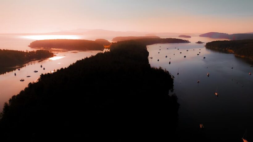Bioluminescence Night Paddle - What’s Included and What You Need to Bring