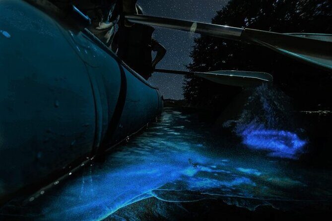 Bioluminescence Rafting Tour Cocoa Beach - Who Should Consider This Tour?