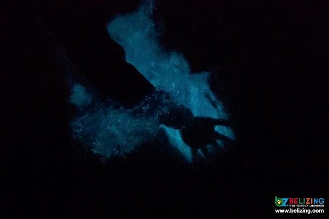 Bioluminescence Tour & Sunset River Cruise - Wildlife and Mangrove Encounters