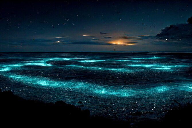 Bioluminescent Bay Adventure in Grand Cayman - Is This Tour Worth It? Who Will Love It?