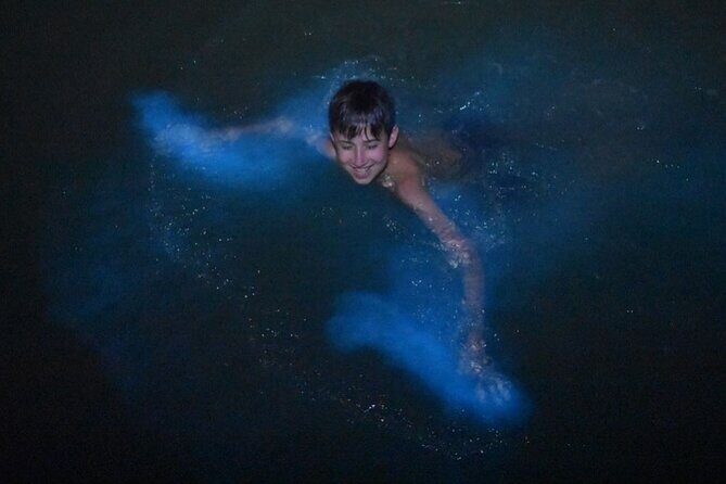 Bioluminescent Bay Boat Charter in Grand Cayman - Key Points