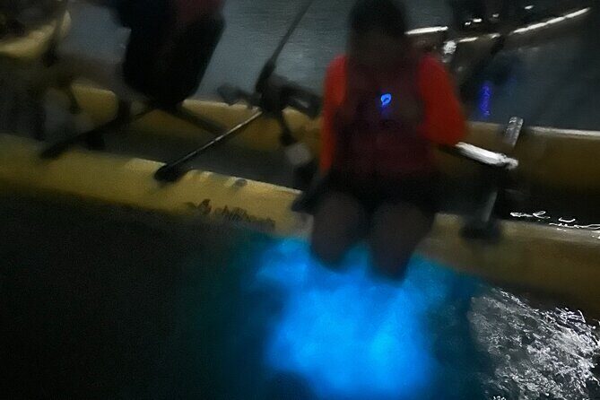 Bioluminescent Bay Chiliboats Waterbike Tour in La Parguera - An In-Depth Look at the Tour Experience