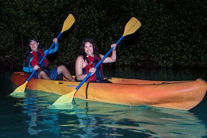 Bioluminescent Bay Kayak Tour in Fajardo Puerto Rico - The Itinerary: What to Expect from Start to Finish