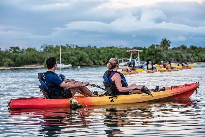 Bioluminescent Bay Kayak Tour in Fajardo Puerto Rico - Authentic Experiences and Practical Tips