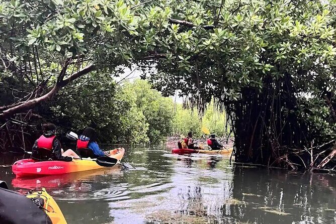 Bioluminescent Bay Kayak Tour in Fajardo Puerto Rico - The Sum Up: Is This Tour Right for You?