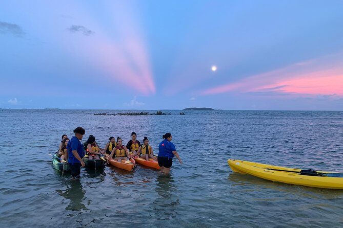 Bioluminescent Bay Night Kayaking, Fajardo - Key Points