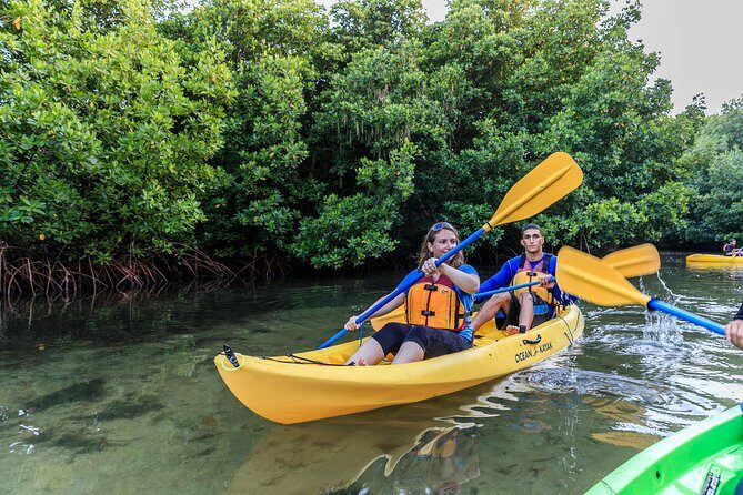 Bioluminescent Bay Night Kayaking, Fajardo - An Overview of What to Expect