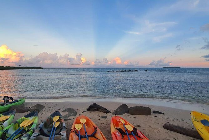 Bioluminescent Bay Night Kayaking, Fajardo - Who Might Want to Consider Other Options