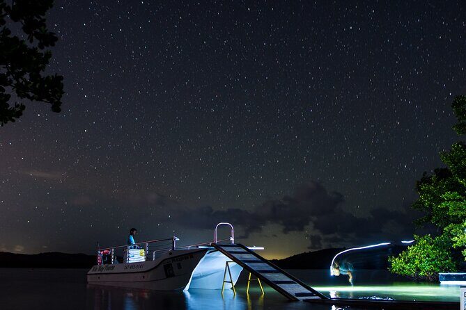 Bioluminescent Boat Tour in Mosquito Bay, Vieques - Key Points