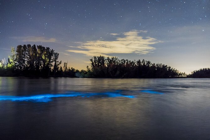 Bioluminescent Clear Kayak Tours in Titusville - What You’ll Actually Do