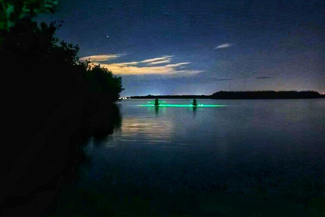 Bioluminescent Comb Jelly & LED Kayak / Paddle board Excursion - Frequently Asked Questions