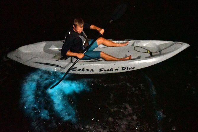 Bioluminescent Kayak Tour by THE #1 Rated Company in Cocoa Beach - In-Depth Look at the Tour Experience