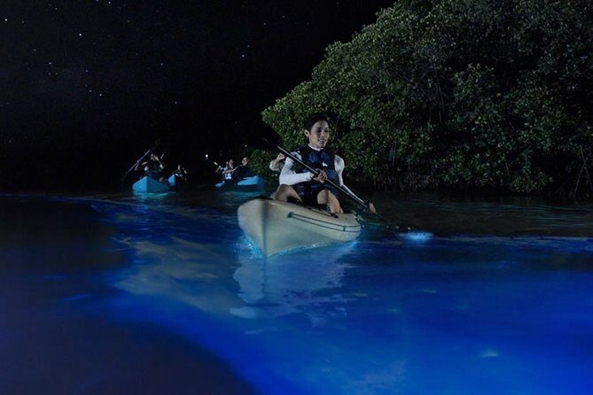 Bioluminescent Kayak Tour by THE #1 Rated Company in Cocoa Beach - The Sum Up