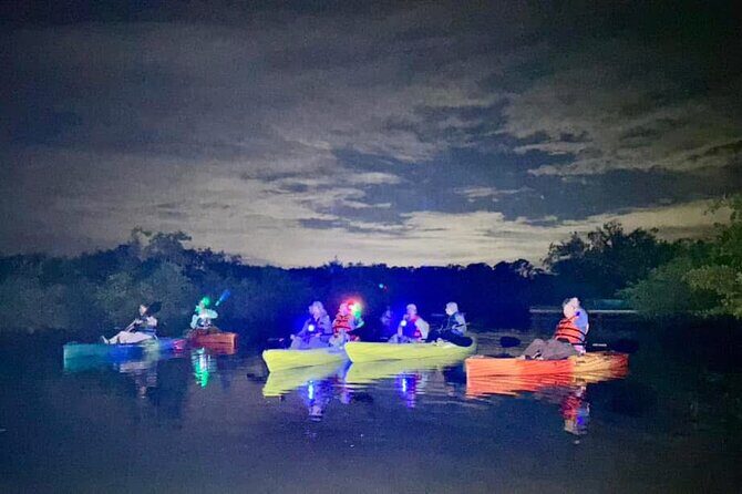 Bioluminescent Kayak Tour in Floridas Indian River Lagoon - The Experience: What to Expect