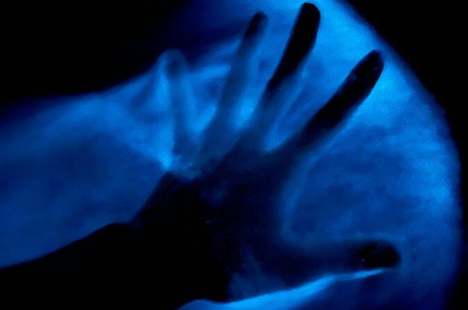 Bioluminescent Kayak Tour in Floridas Indian River Lagoon - Who Will Love This Tour?