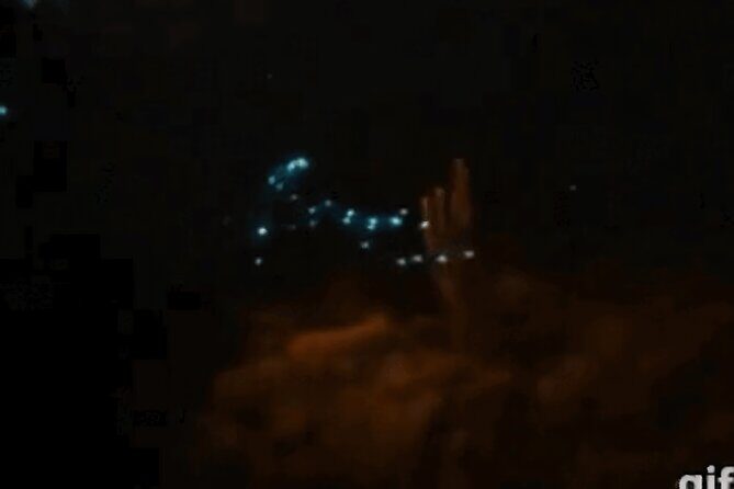 Bioluminescent Night Snorkeling - Additional Details & Practical Tips