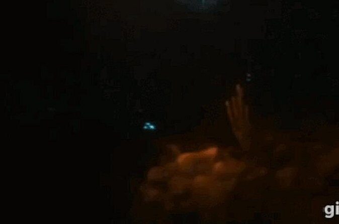 Bioluminescent Night Snorkeling - FAQs