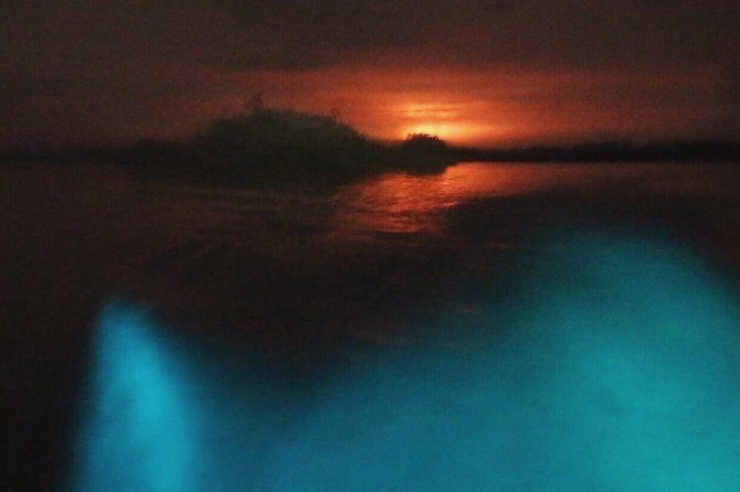 Bioluminescent Night Tour - Discovering Puerto Escondido’s Bioluminescent Night Tour: A Practical and Authentic Review