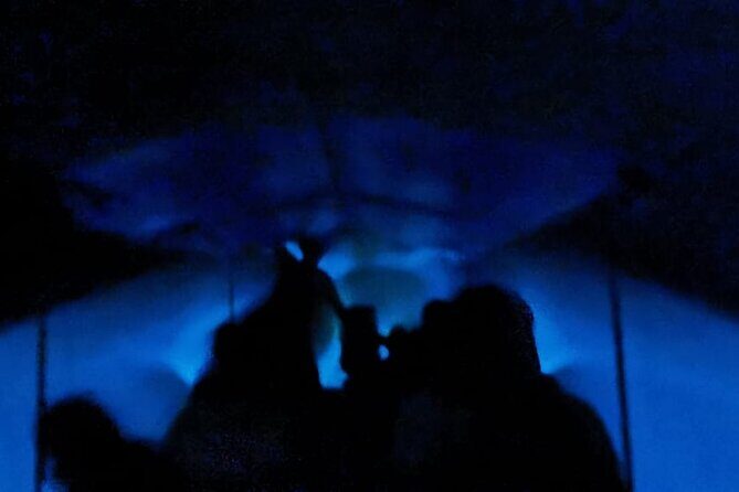 Bioluminescent Night Tour - What We Love and What to Consider