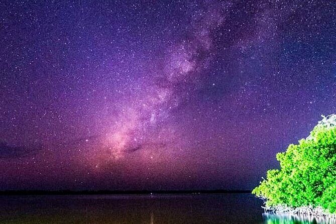 Bioluminescent Night Tour - The Bottom Line: Who Is This Tour Best For?