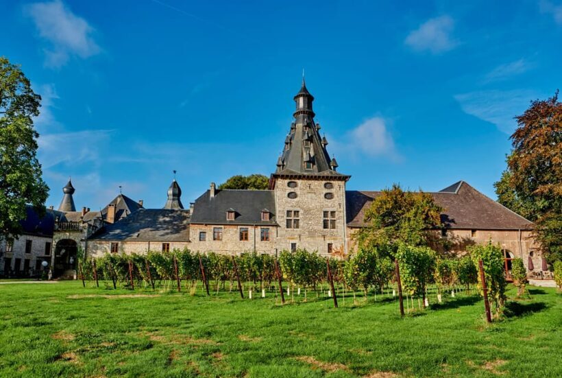 Bioul (near Dinant) : Château de Bioul Tour and Wine Tasting - Discovering the Château de Bioul
