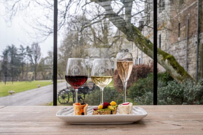 Bioul (near Dinant) : Château de Bioul Tour and Wine Tasting - Why This Tour Is Worth Considering