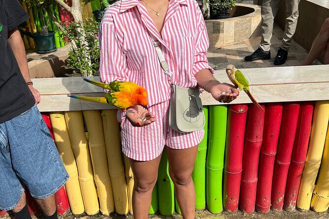 Bird & Animal Encounter in Montego Bay Feed,Hold & Snap Pics! - Who Will Love This Experience?