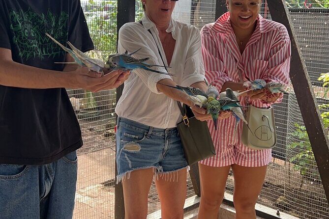 Bird & Animal Encounter in Montego Bay Feed,Hold & Snap Pics! - Final Thoughts