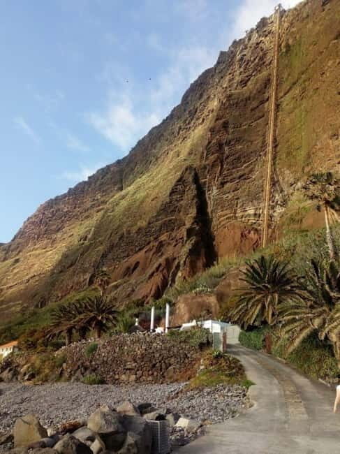 Bird Island sweet west tour - A Guided Journey Through Madeira’s West Coast and Bird Paradise