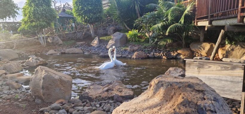 Bird Island sweet west tour - Authentic Experiences and Authentic Value