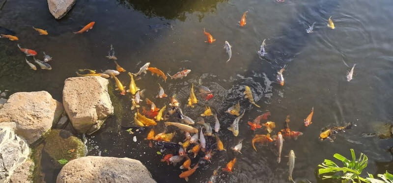 Bird Island sweet west tour - Who Will Love This Tour?