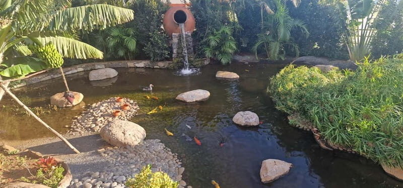 Bird Island sweet west tour - The Sum Up