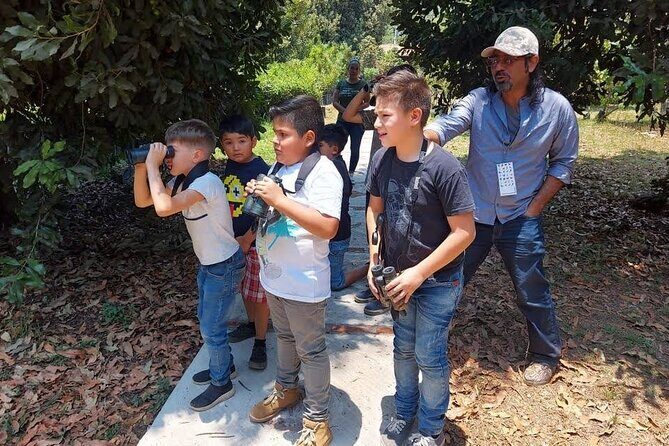 Bird Observation in the National Park of Uruapan. - What to Expect During the Tour