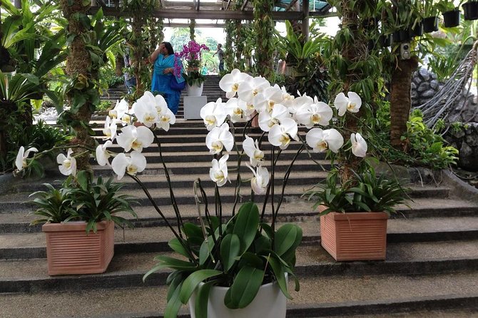 Bird Park & Butterfly Farm Nature Include All Entrance Tour From Kuala Lumpur - Who Should Consider This Tour?