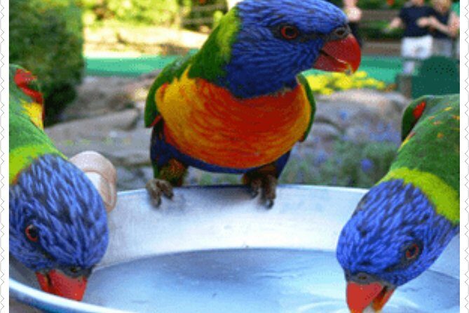 Bird Sanctuary and animal farm Day Tour - Discovering the Rockland Bird Sanctuary and Animal Farm Day Tour