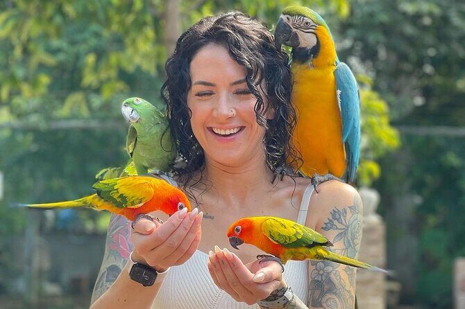 Bird Sanctuary and animal farm Day Tour - FAQ about the Bird Sanctuary and Animal Farm Day Tour