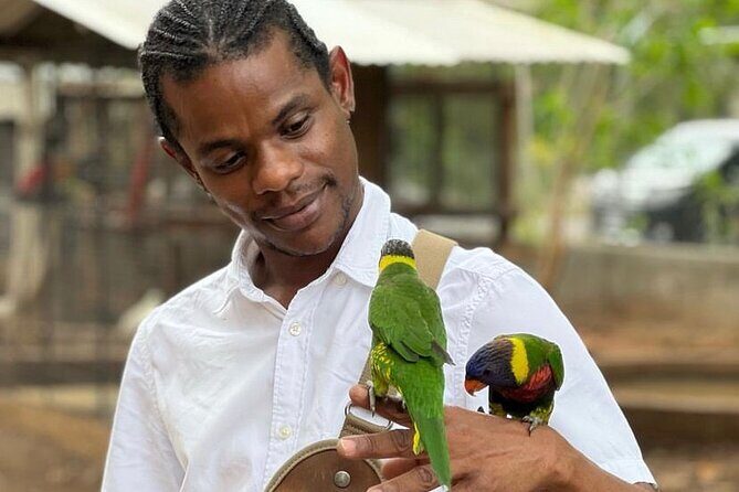 Bird Sanctuary and Montego Bay City Tour - Key Points