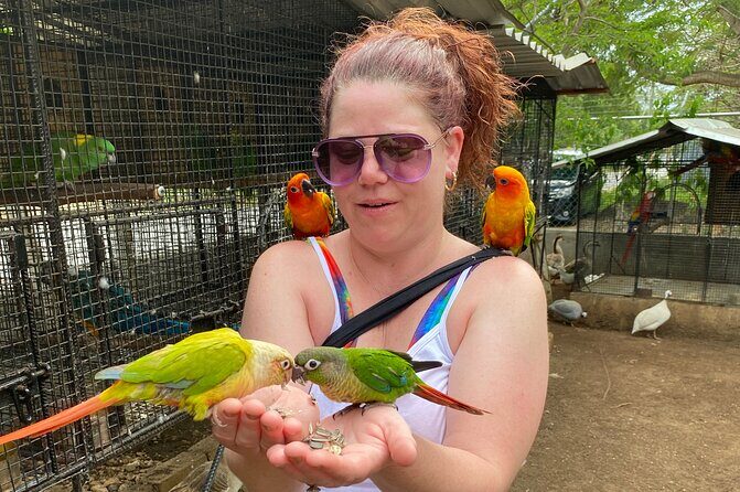 Bird Sanctuary and Montego Bay City Tour - Why the Price Reflects Good Value